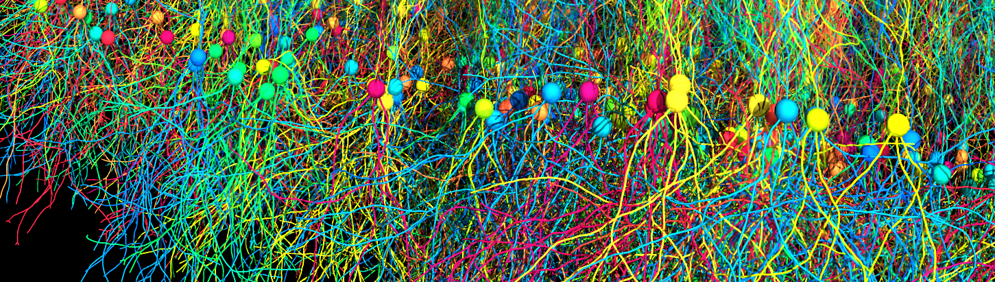 High-Performance and Scalable